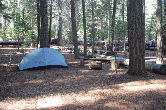 What kind of animal eats Polycryo Groundsheets? - Backpacking Light