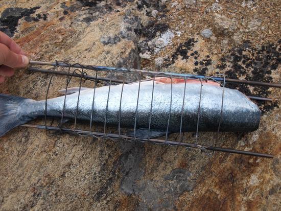 Zia Fabrications Titanium Grill - Backpacking Light