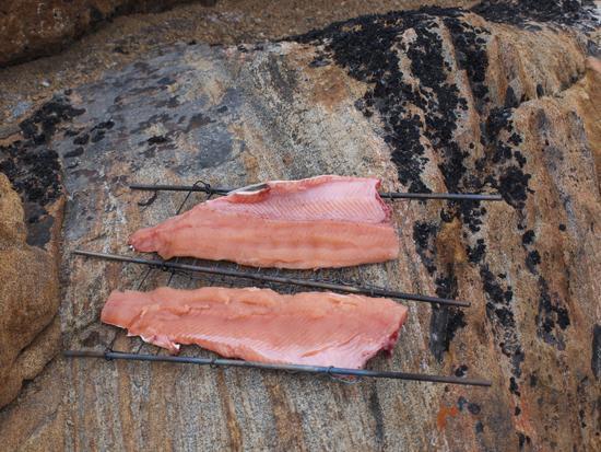 Zia Fabrications Titanium Grill - Backpacking Light