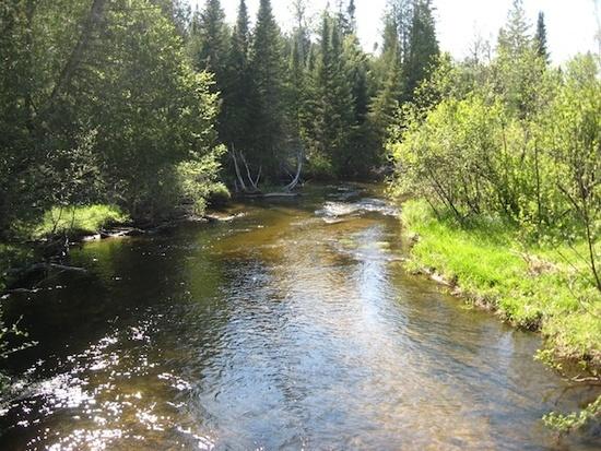 High Country Pathway - May 2010 - Backpacking Light