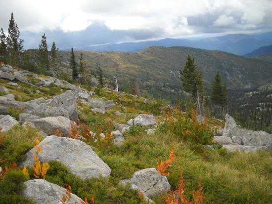 Selway Bitterroot Wilderness, Idaho - Backpacking Light
