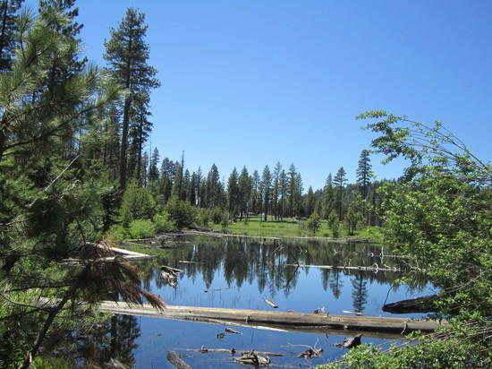 Lake Vernon-Hetch Hetchy Reservoir - Backpacking Light