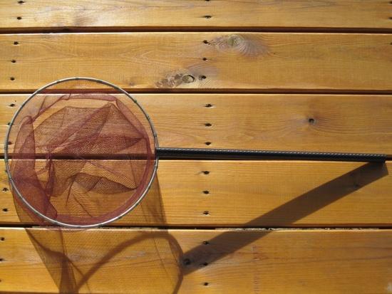 Ultralight trout fishing net? - Backpacking Light