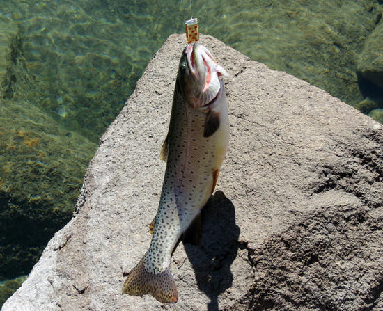 7 Days Solo Wind River Range Cook Lakes - Titcomb - Backpacking Light