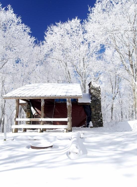 Overnight trip to Spence field and Thunderhead MNT (GSMNP ...