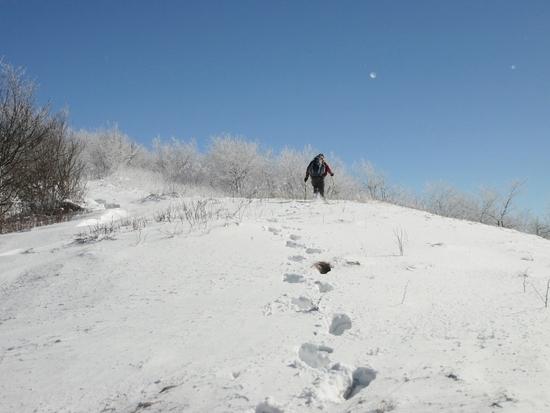 Overnight trip to Spence field and Thunderhead MNT (GSMNP ...
