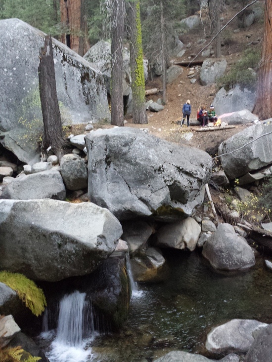 Sequoia Family Hike, Mountain Home State Forest, 11-7-14 - Backpacking ...