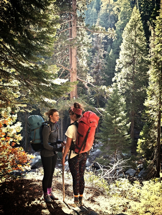 Sequoia Family Hike, Mountain Home State Forest, 11-7-14 - Backpacking ...