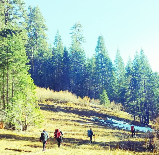 Sequoia Family Hike, Mountain Home State Forest, 11-7-14 - Backpacking ...