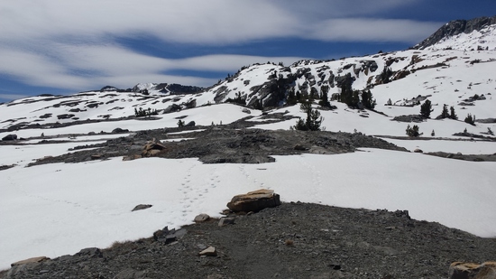 Early Season Trip in Yosemite - Mono Meadows to Red Peak Pass/Isberg ...